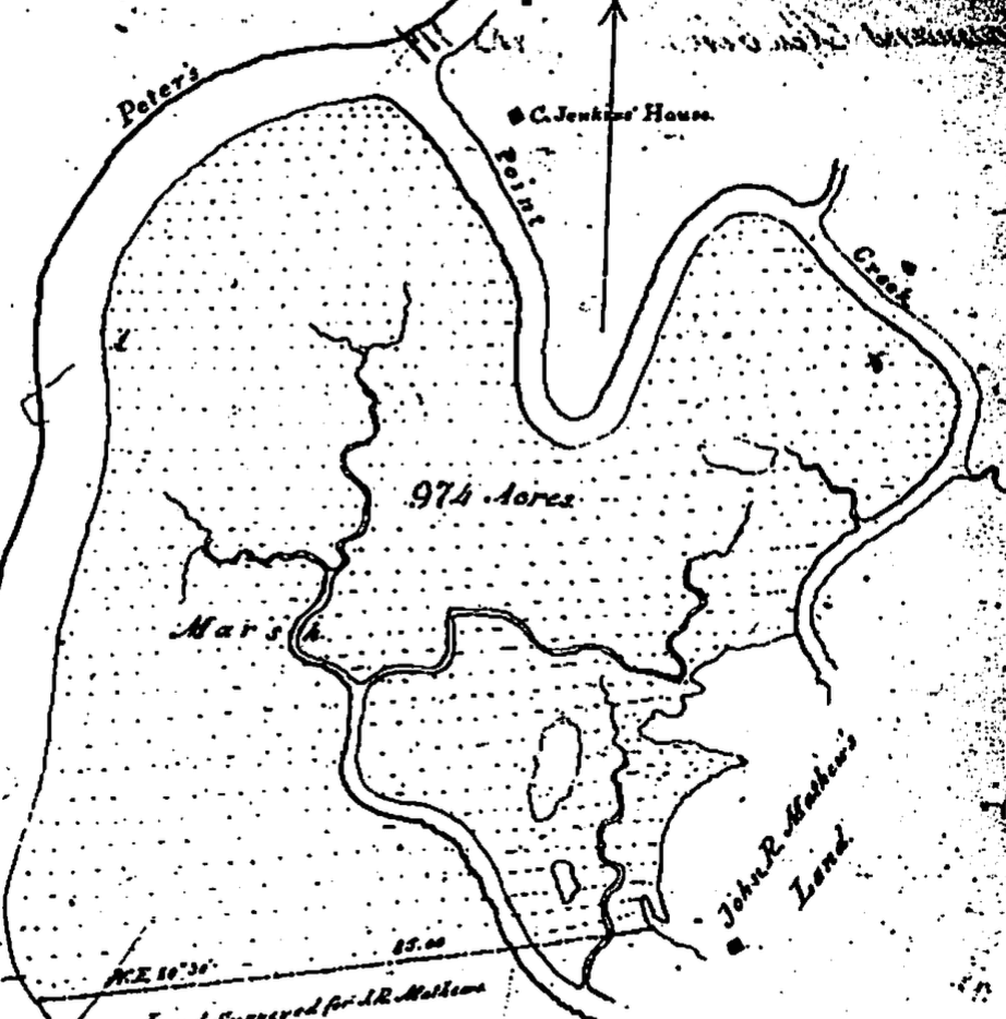 Marsh Island at Edisto Island | Doreen Larimer